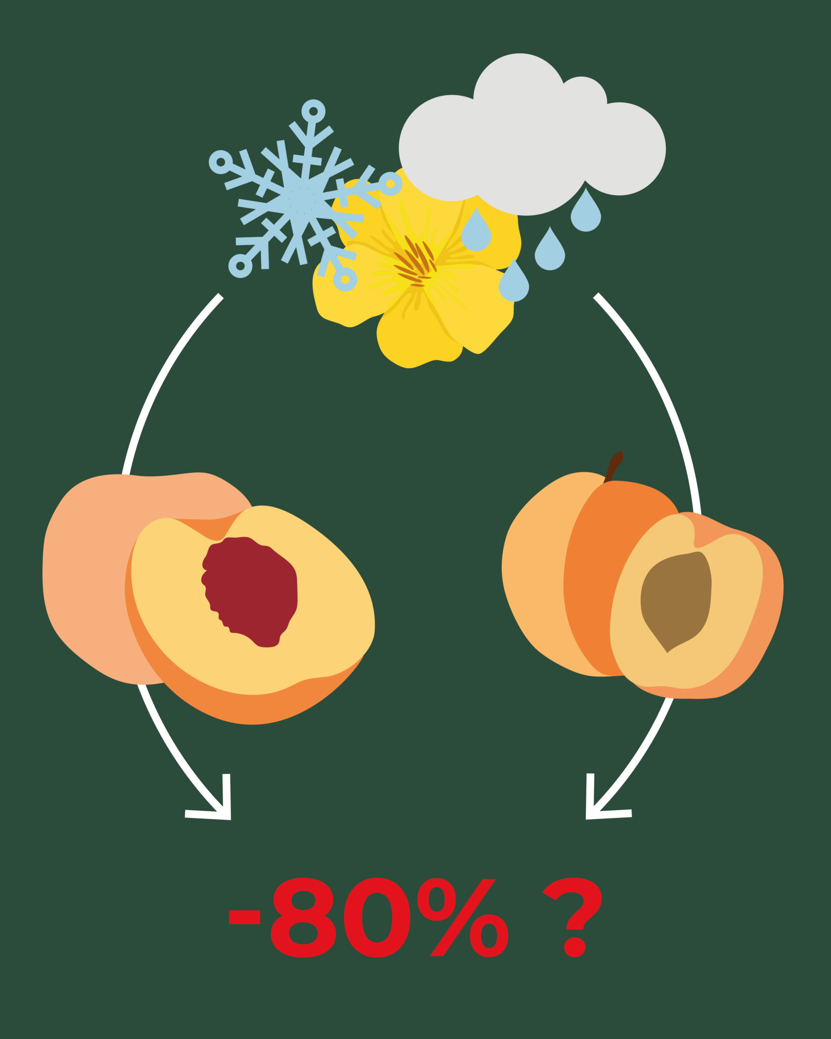 Paul M. Müller - Paul M. Müller